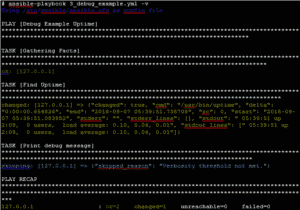 The Ansible Debug Module
