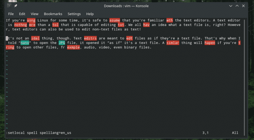 vim-spell-check