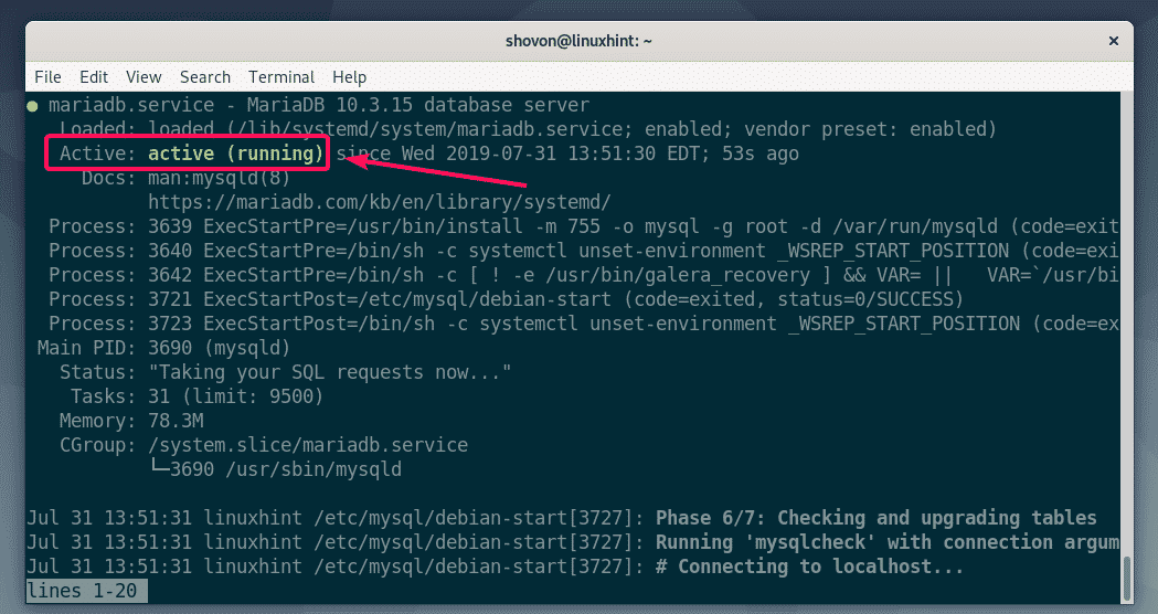 Installing MySQL/MariaDB on Debian 10