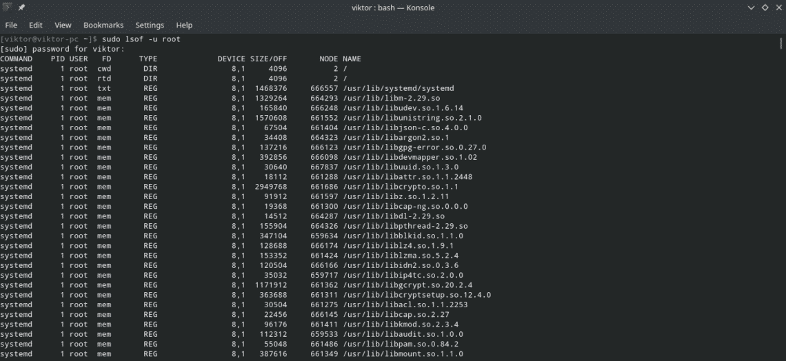 Linux lsof Command - Linux Hint | Maria Kani