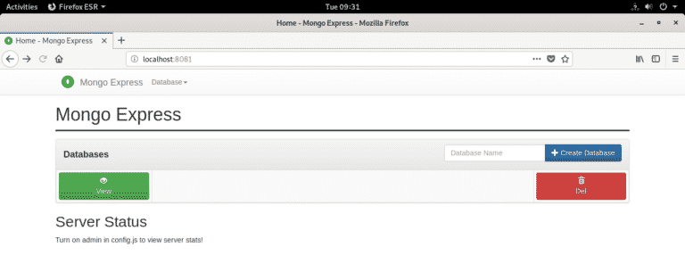 Set Up A Mongodb Server With Docker