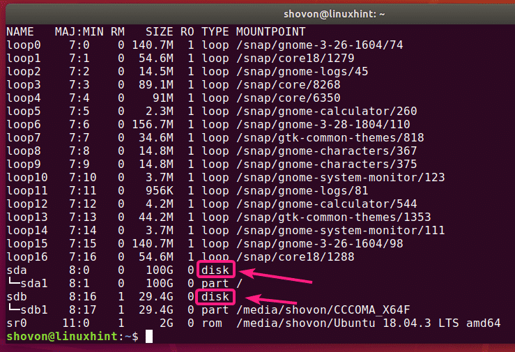 List Disks On Ubuntu