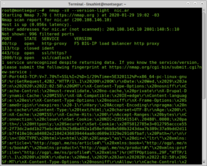 Nmap Version Scan, determining the version and available services