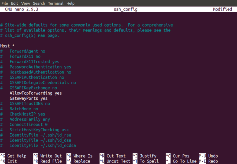 How To Get Public Ip Address By Using Ngrok Or Ssh Tunneling