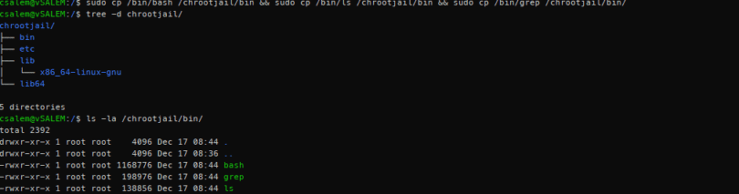 How To Setup Linux Chroot Jails