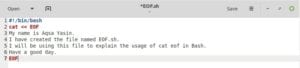 What is Cat EOF in Bash Script?