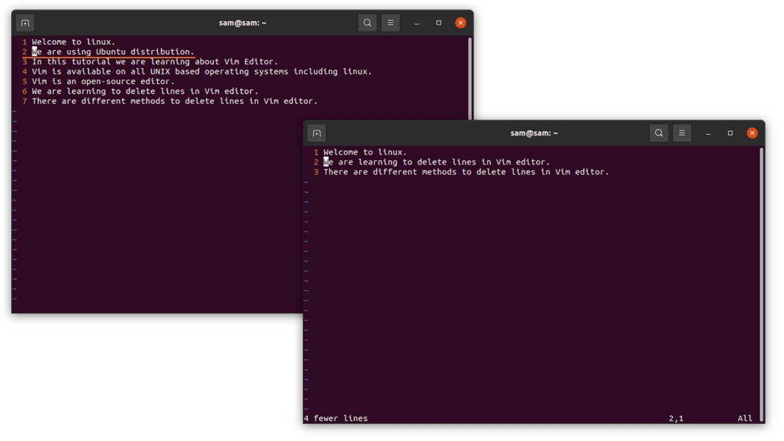 How To Delete Lines In Vi Vim 