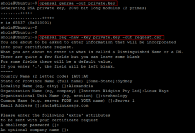 How Do I Create a .CRT File in Linux? | DevsDay.ru