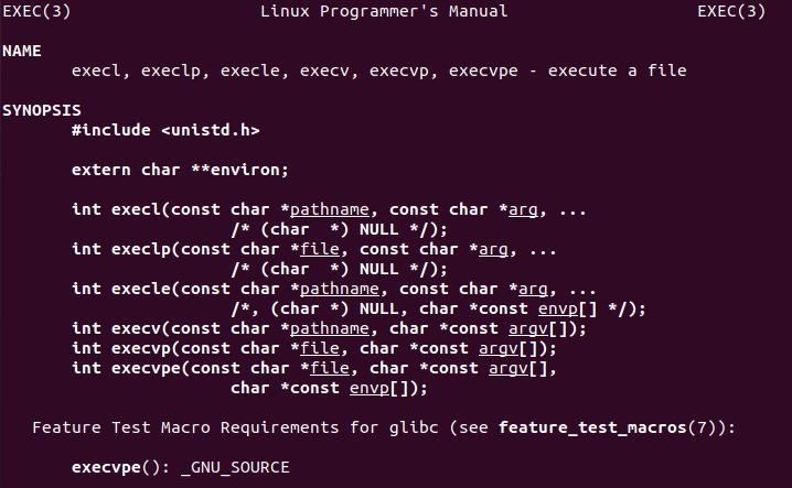 How To Use Exec In C Taylor Dethe1944