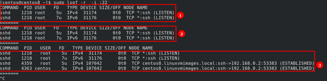 How to Check Open Files in Linux