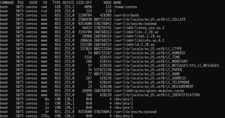 How To Check Open Files In Linux