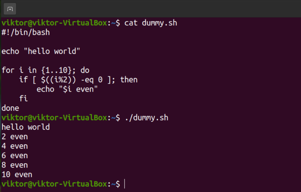 Bash for Loop in One Line • بلاگ رسانگار