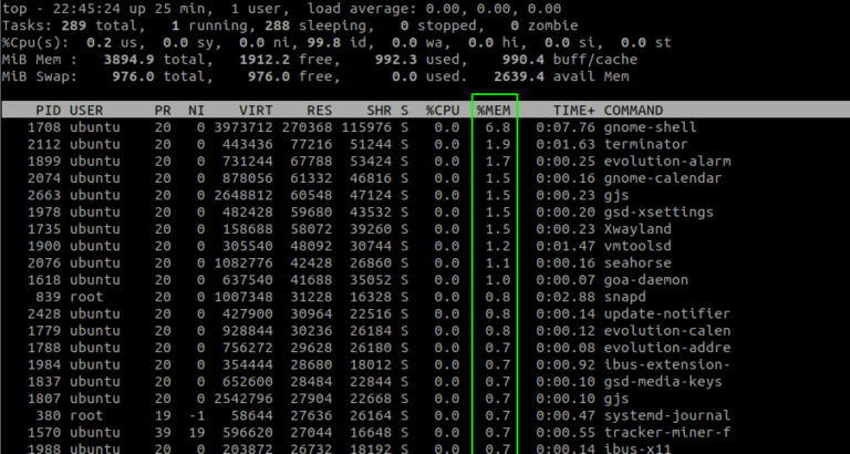 How To Make Top Command Sort By Memory Usage
