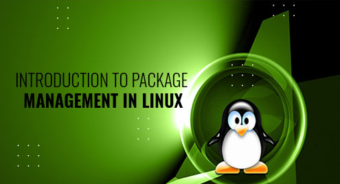Ubuntu Package Management