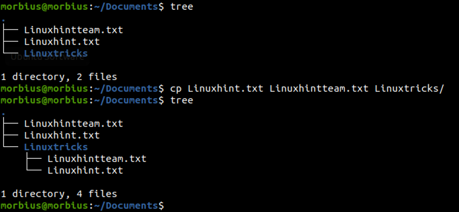 How Do I Copy Multiple Files Using CP In Linux
