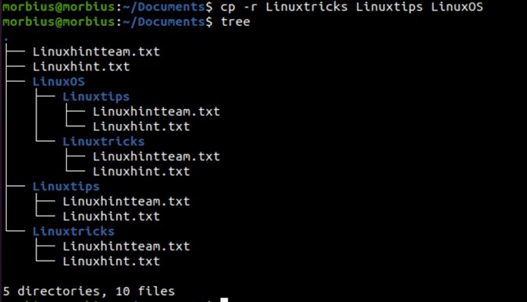 How Do I Copy Multiple Files Using CP In Linux