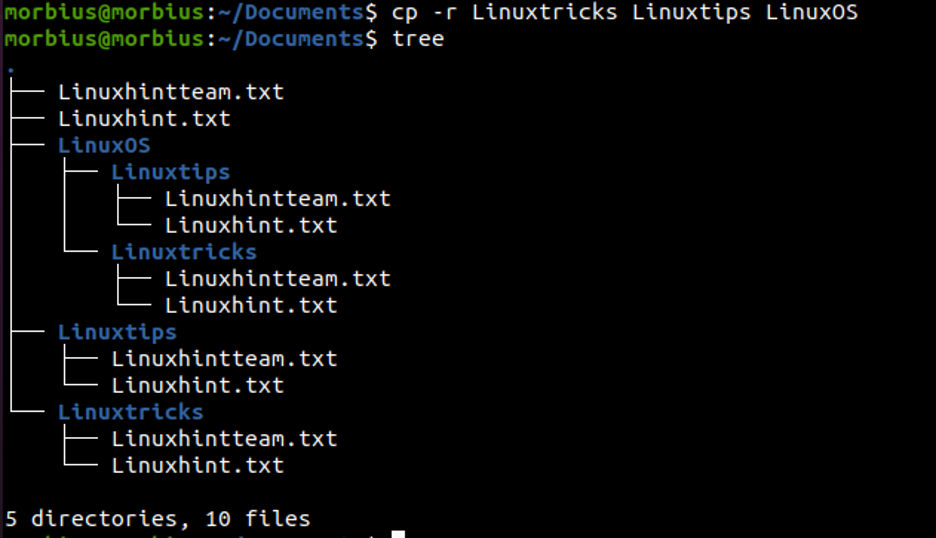 How Do I Copy Multiple Files Using CP In Linux