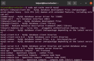 Installing and Working with Packages in Ubuntu