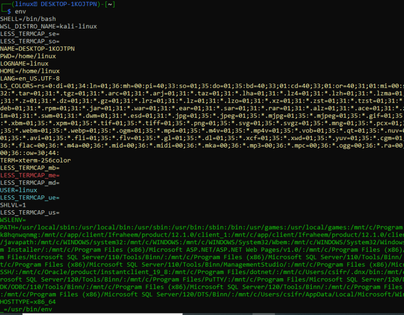 Git Bash Set an Environment Variable