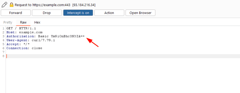 CURL Enter Username And Password In Command
