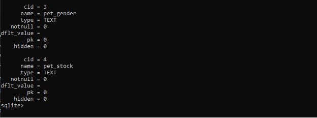 SQLite Show The Structure Of A Table