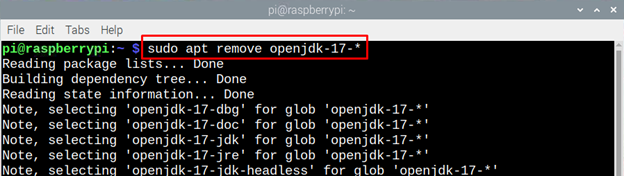 How To Completely Remove Java From The Raspberry Pi OS 