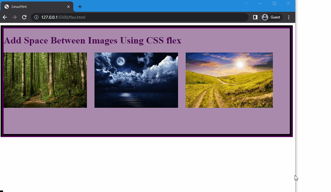 How To Add Space Between Images In CSS 
