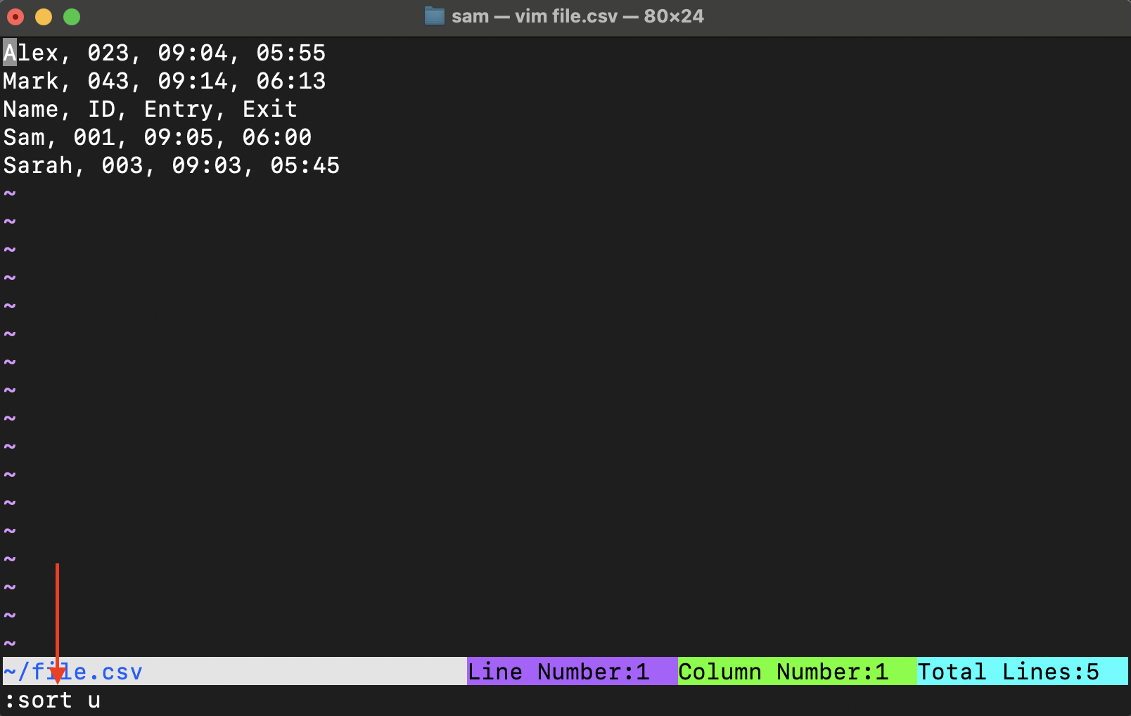 How To Remove Duplicate Lines In Vim Linux Consultant
